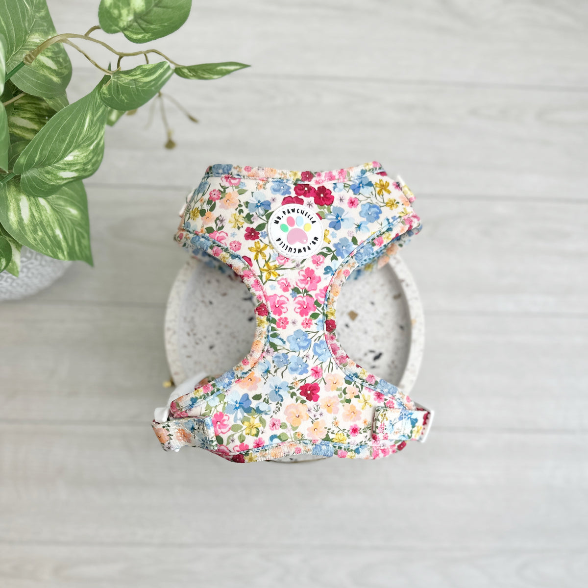Floral Confetti - Adjustable Harness – My.Pawchella