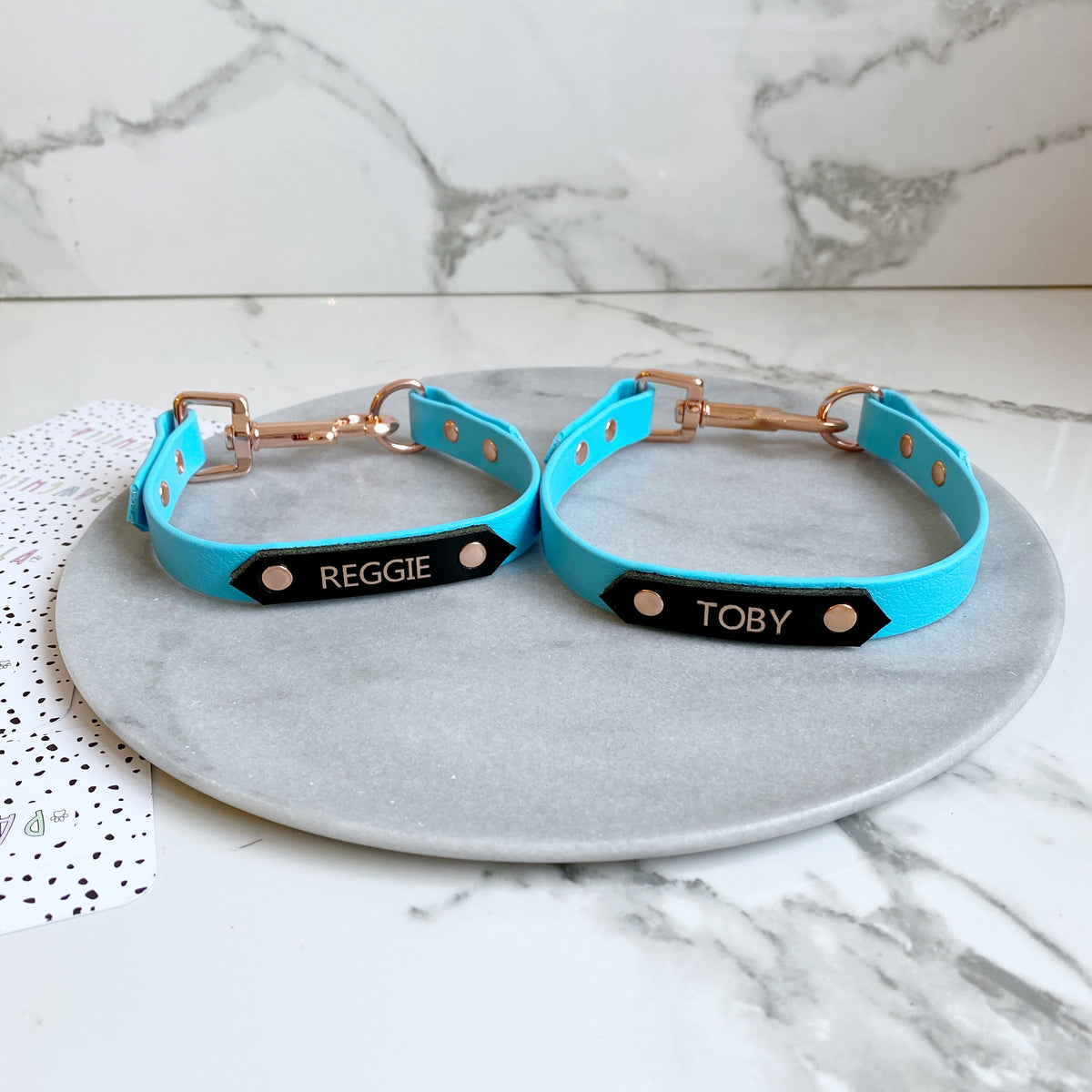 Biothane - Clip on collar – My.Pawchella