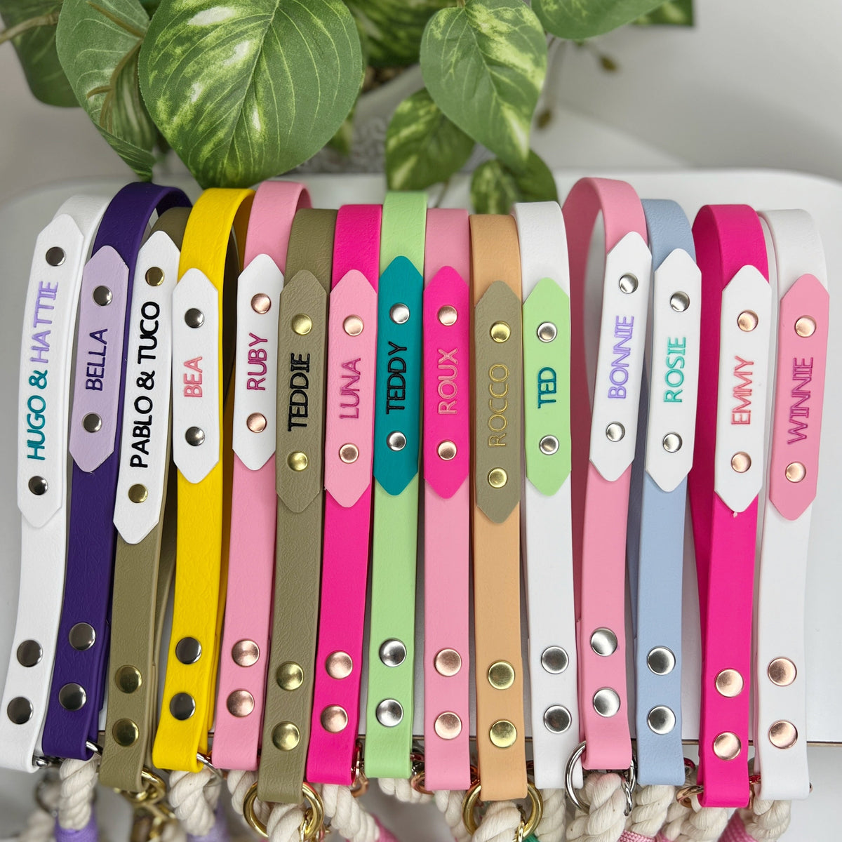 Embossed biothane painted - name tag – My.Pawchella